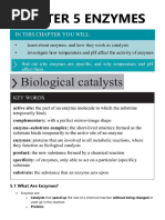IGCSE BIOLOGY Enzymes Notes | PDF | Enzyme | Active Site