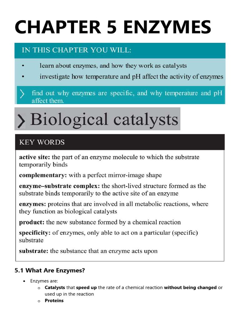 Understanding Enzymes: Function & Factors | PDF | Enzyme | Active Site