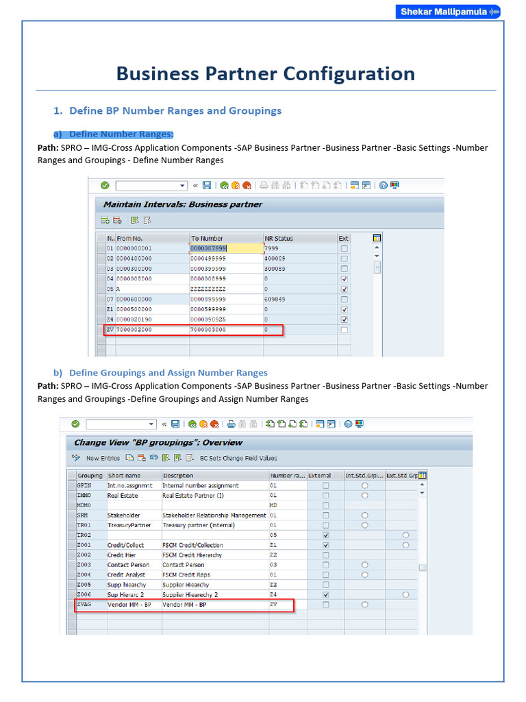 SAP Business Partner Configuration Guide | PDF