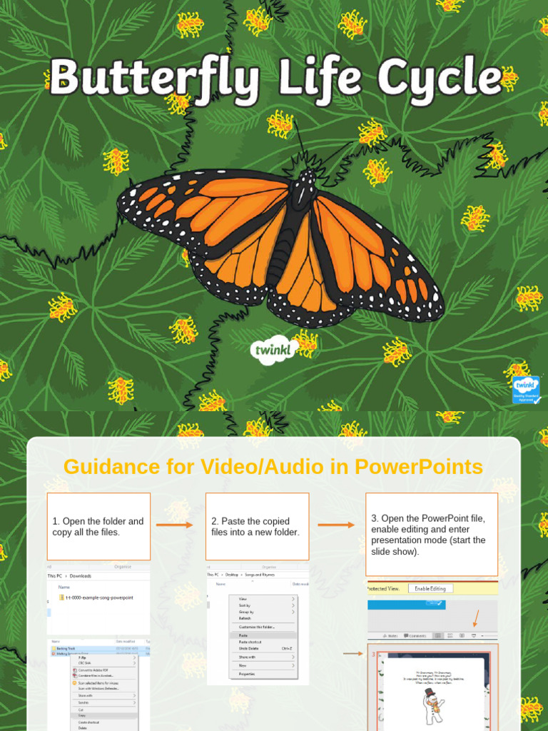T T 5221 Butterfly Life Cycle Powerpoint | PDF
