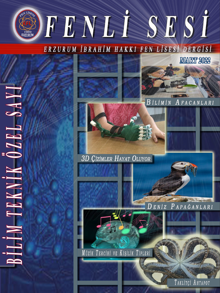 fenli_sesi_2022mart | PDF