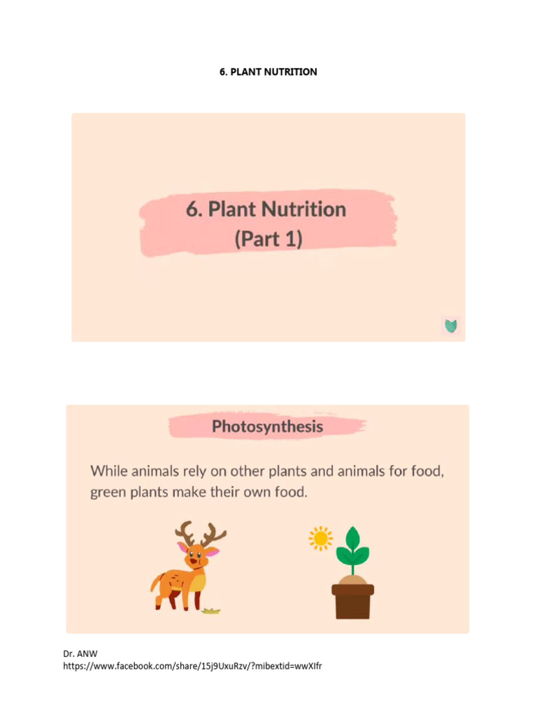 Plant Nutrition With MCQ | PDF | Photosynthesis | Enzyme