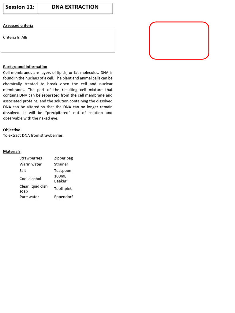 11._dna_extraction (Activity) | PDF | Cell (Biology) | Water