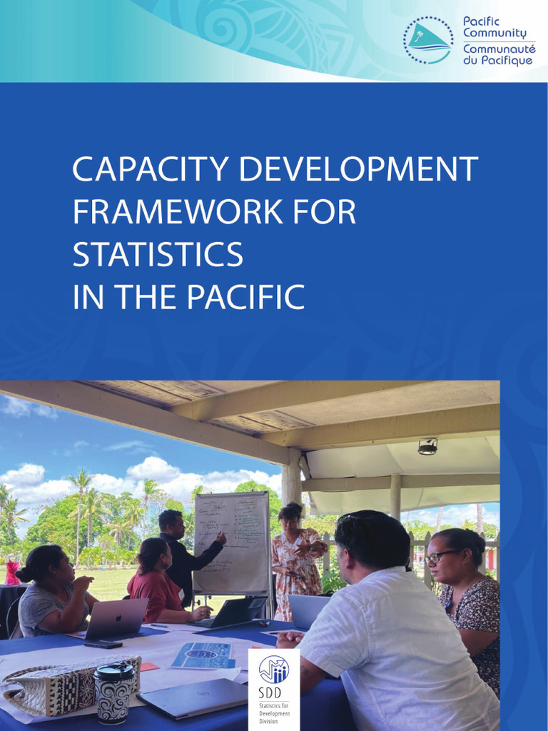 PSSC5_WP1_Annex1_Capacity_Development_Framework_for_Statistics | PDF | Capacity Building