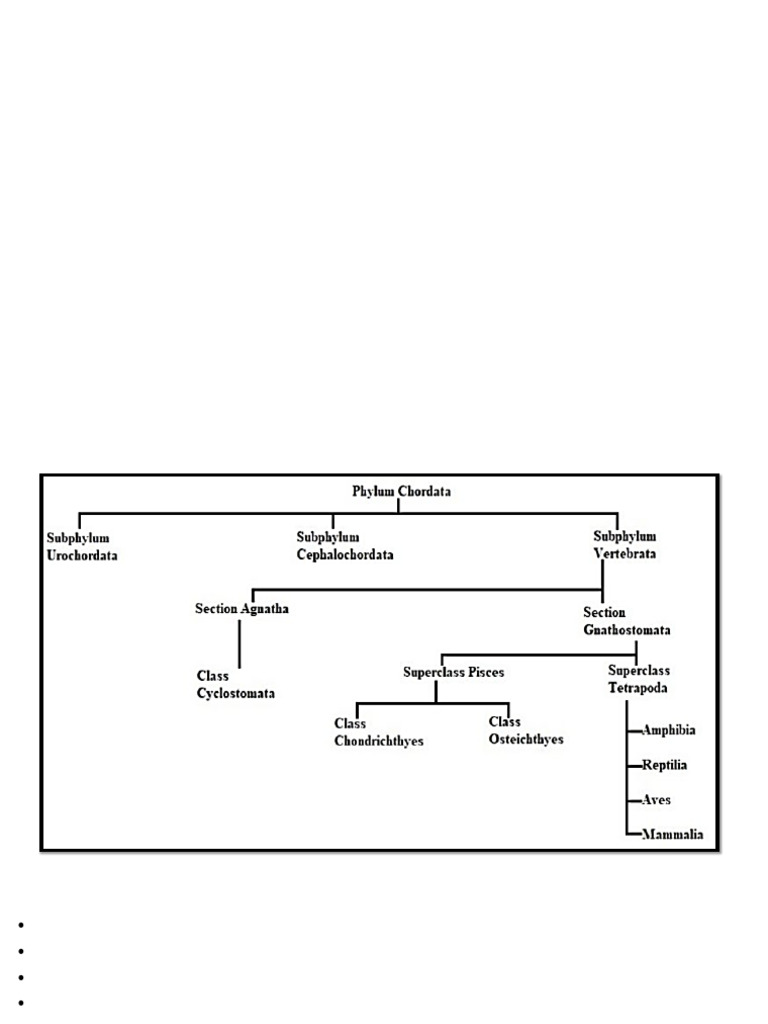 Characteristics and Classification of Amphibians | PDF | Amphibian | Frog