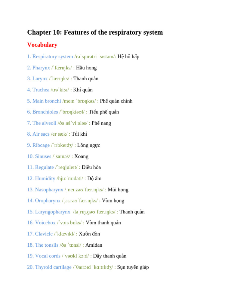 Homework - Vocabulary - Chapter 10 - The Respiratory System | PDF