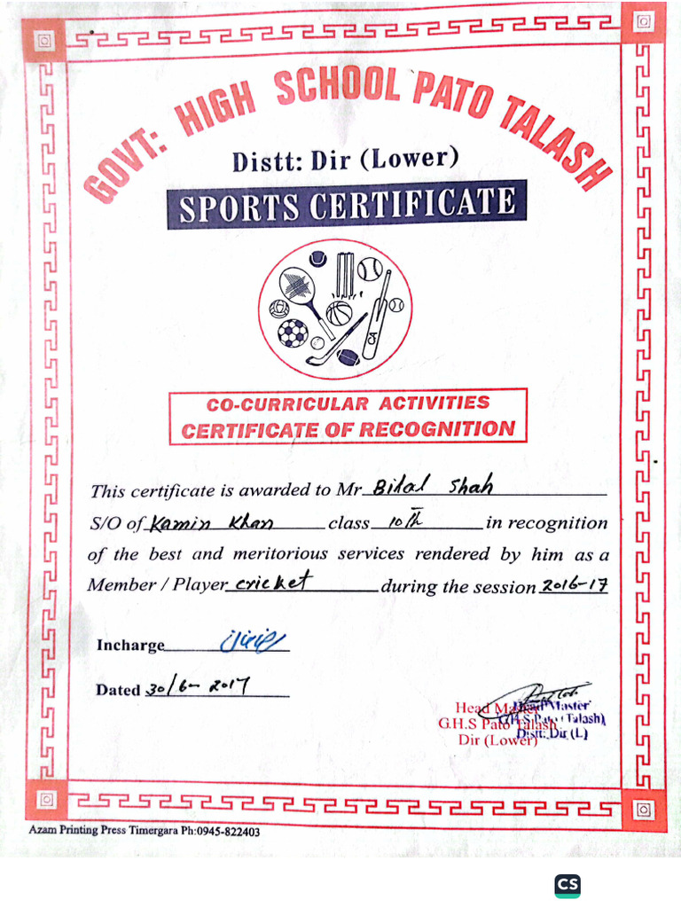 Cricket Certificate | PDF