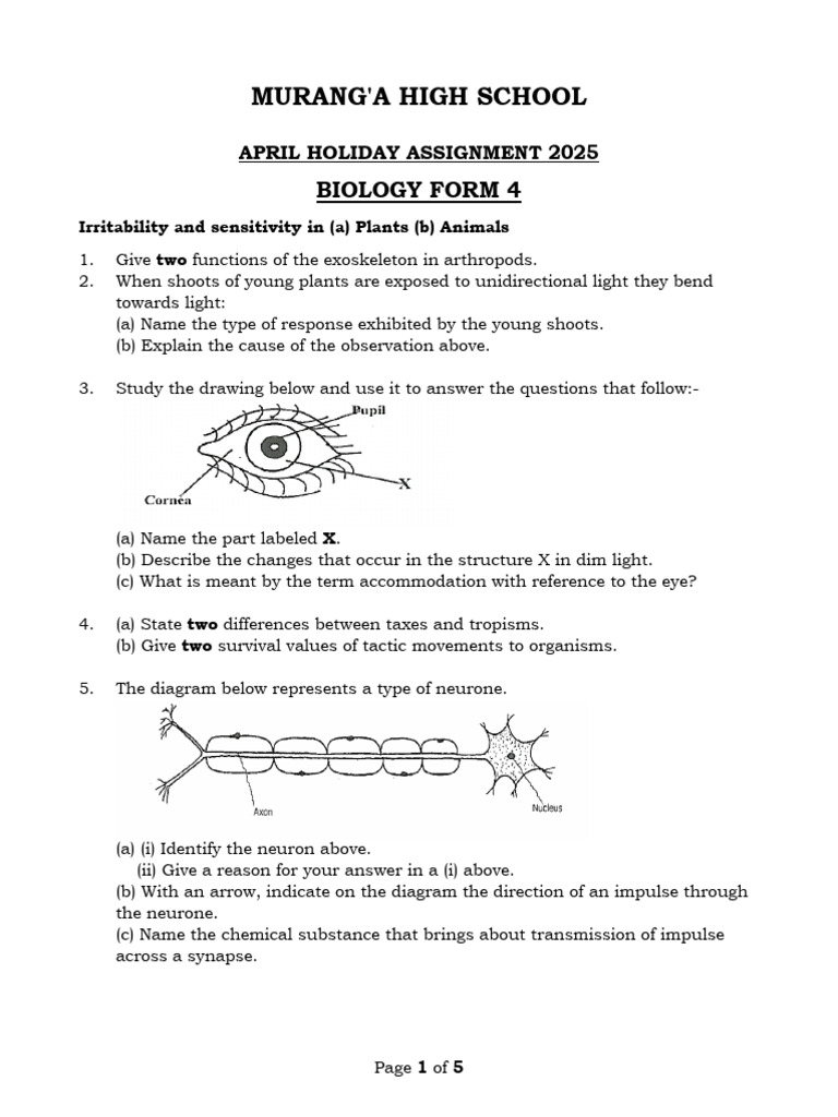 Murang'A High School: Biology Form 4 | PDF | Eye | Ear