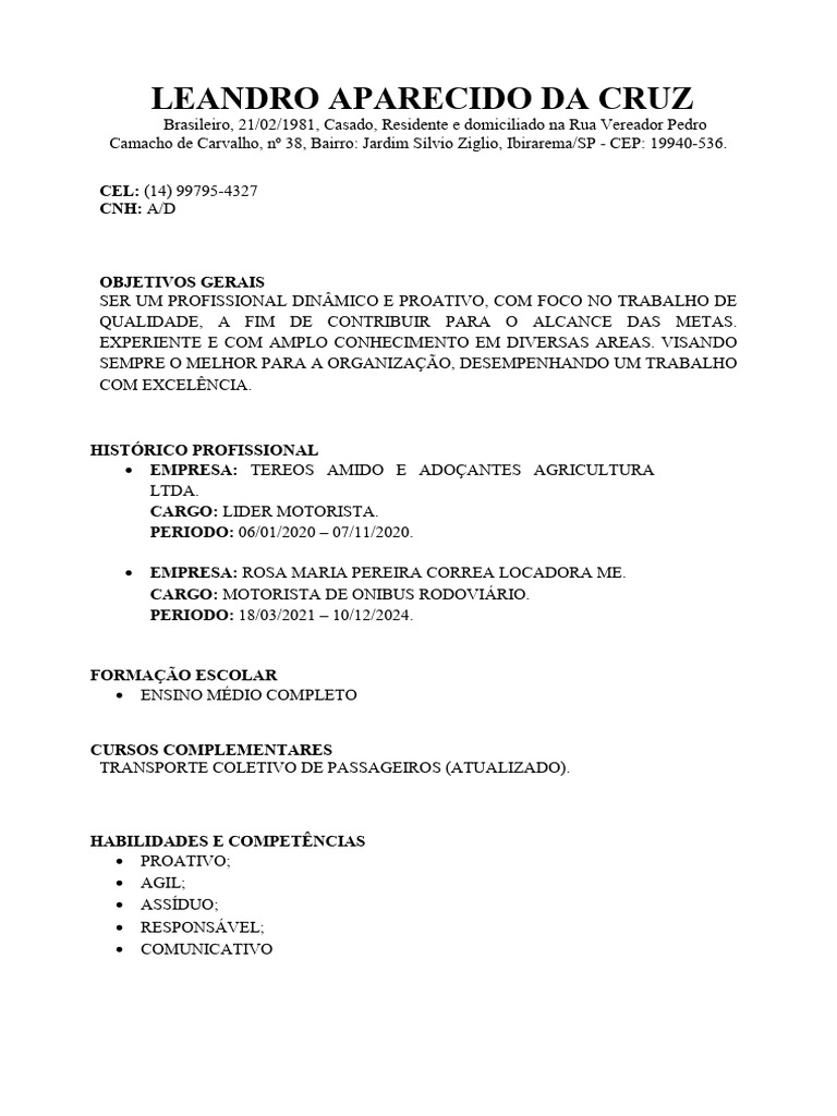 Leandro - Curriculo | PDF