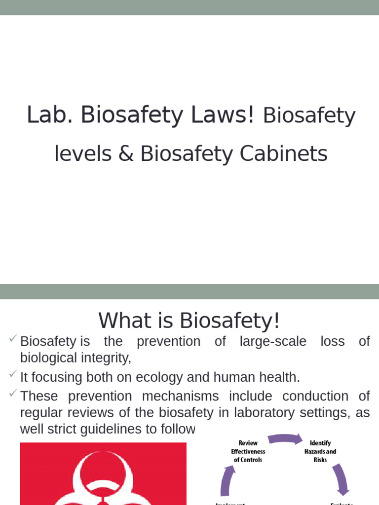Lab. IV. Biosafety Laws (Levels) | PDF | Microbiology | Biology