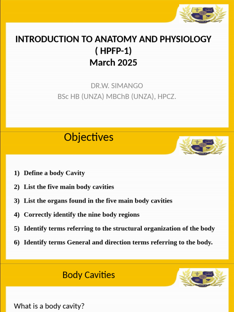 E3 Medical Terminologies | PDF | Anatomical Terms Of Location | Thorax