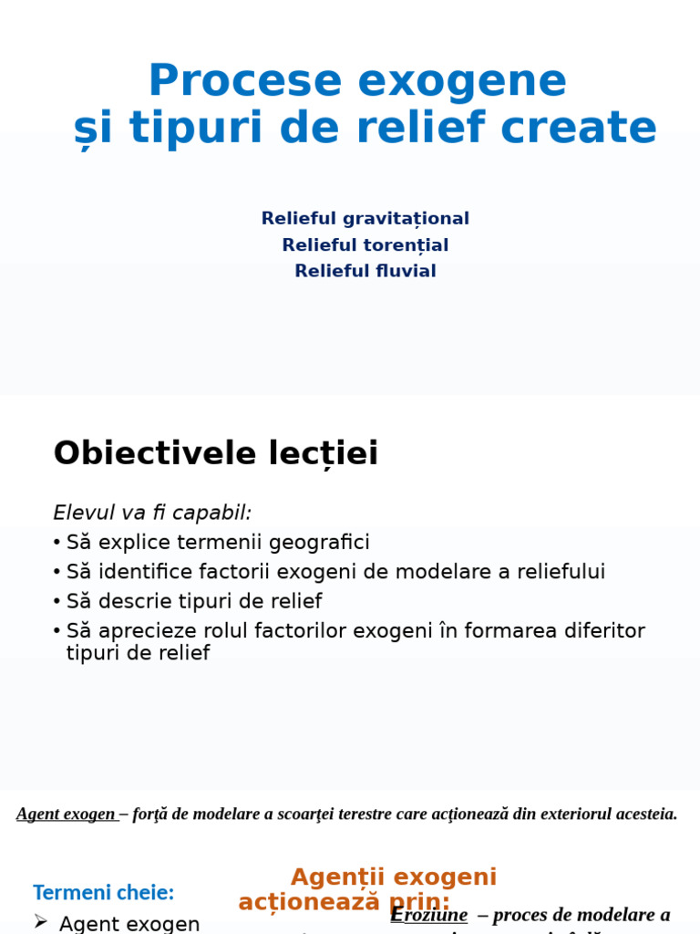 10.procese Exogene Si Tipuri de Relief | PDF
