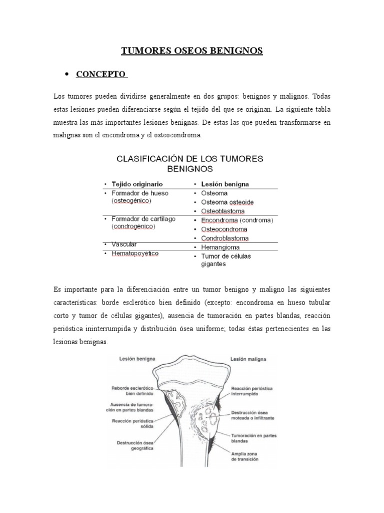Tumores Oseos Benignos | PDF | Hueso | Cáncer