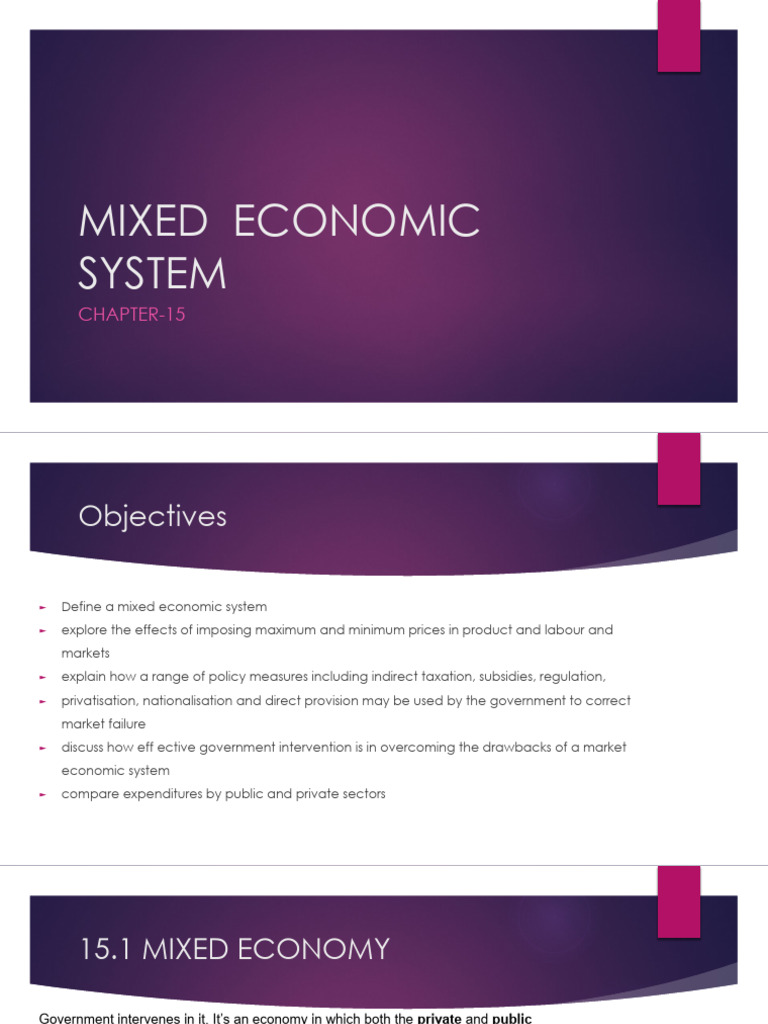 Chp-15 Mixed Economy System | PDF | Subsidy | Taxes