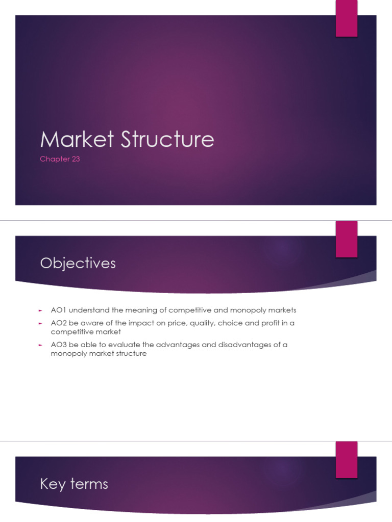 CHPT 23 Market Structure | PDF | Monopoly | Profit (Economics)