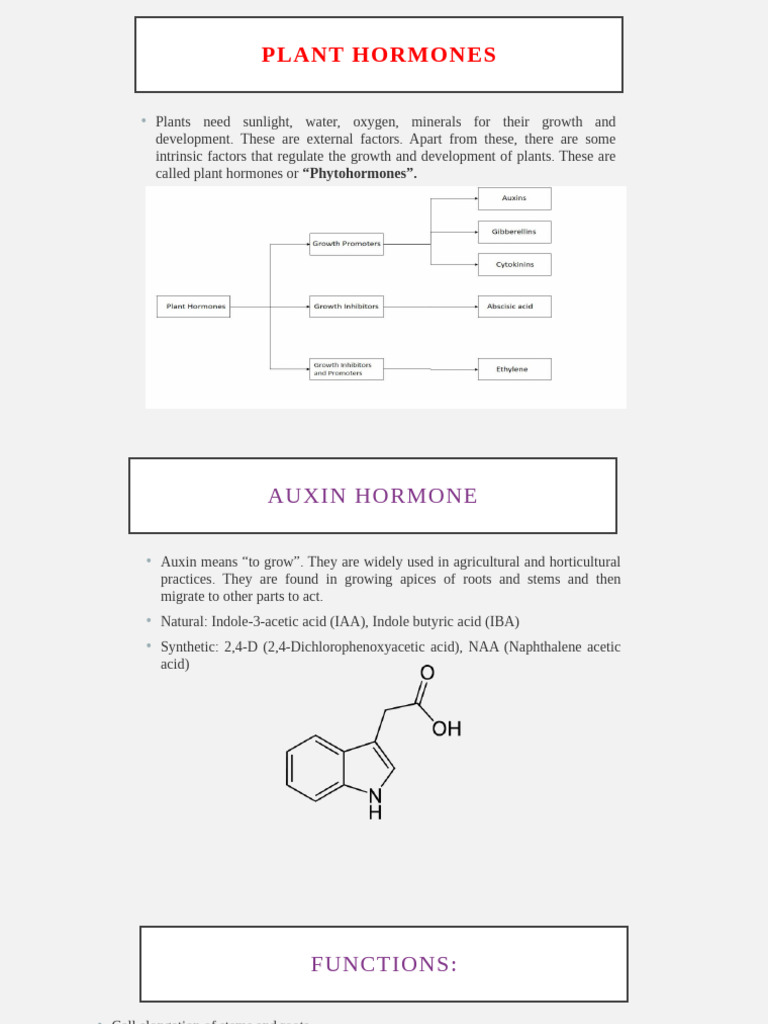 Plants Hormones and Plants Movement | PDF | Seed | Plant Hormone