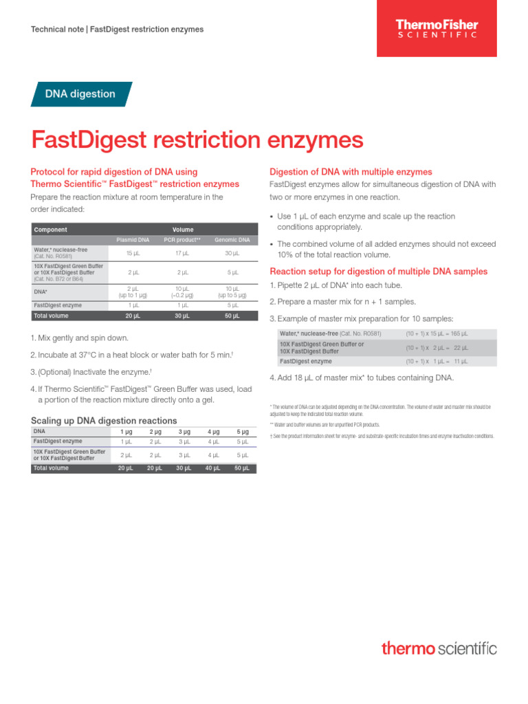 Fastdigest Restriction Enzymes Labaid | PDF | Polymerase Chain Reaction | Nucleic Acids