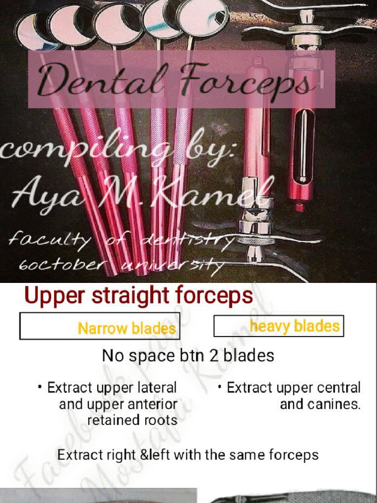 Dental Forceps | PDF