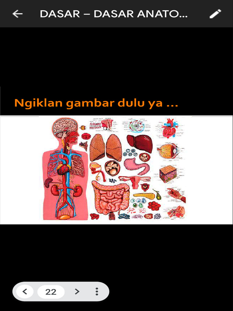 Dasar Dasar Anatomi Fisiologi Pptx Google Slide Pdf