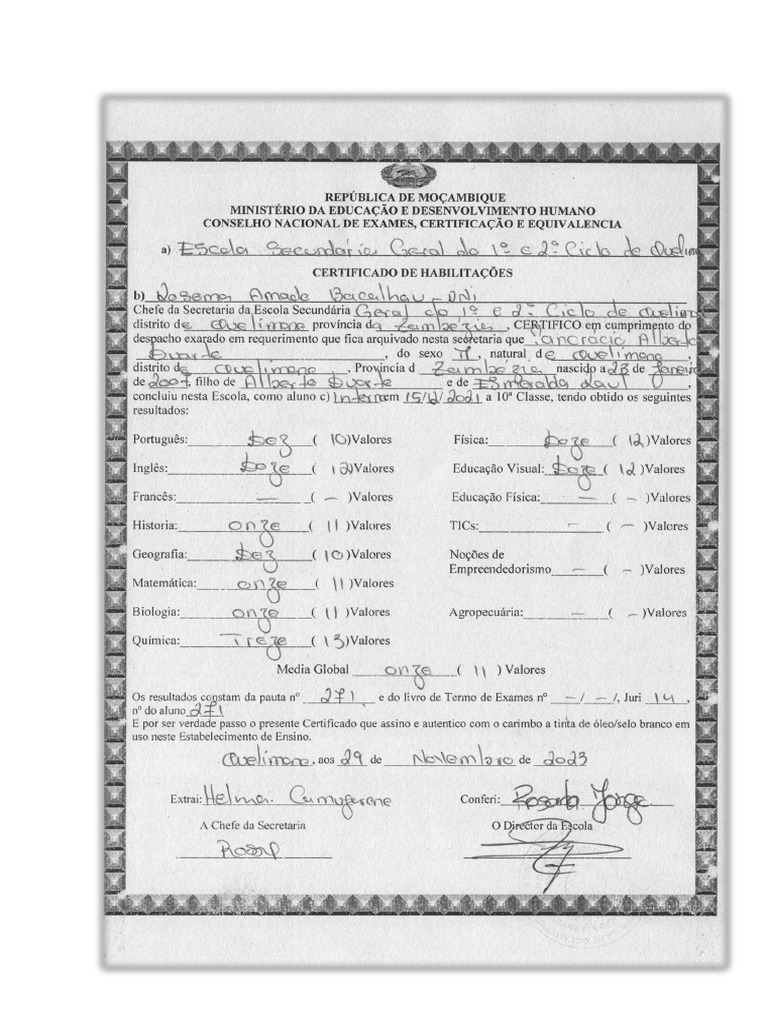 Certificado Fabio | PDF