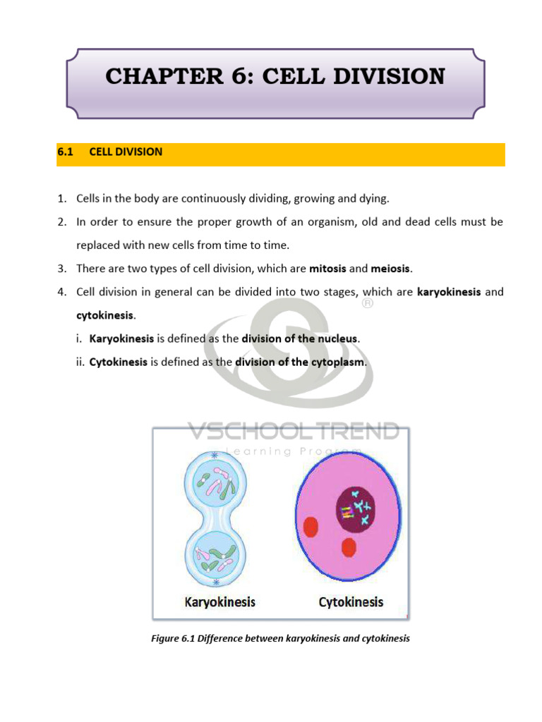 9ca09 1. f4 - Bio - Bi Version - Chapter 6 (Revision) After Correction ...
