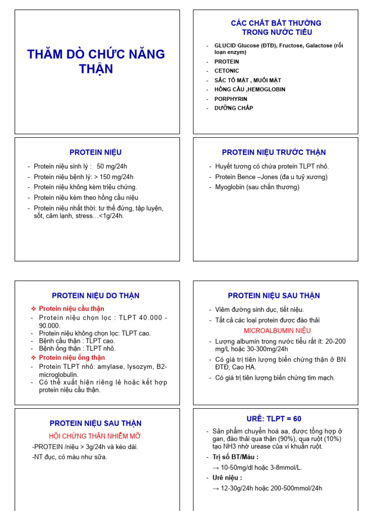 Thực Hành Sinh Lý - Thăm Dò Chu %9 | PDF