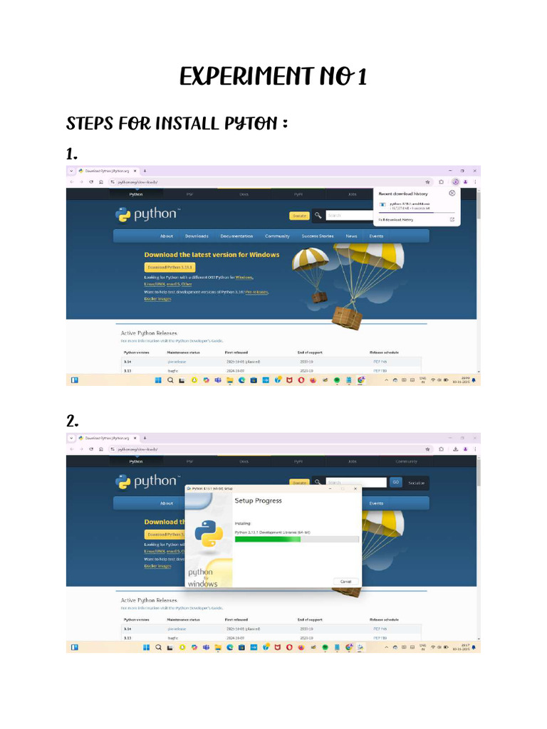Python Installation Guide Steps | PDF