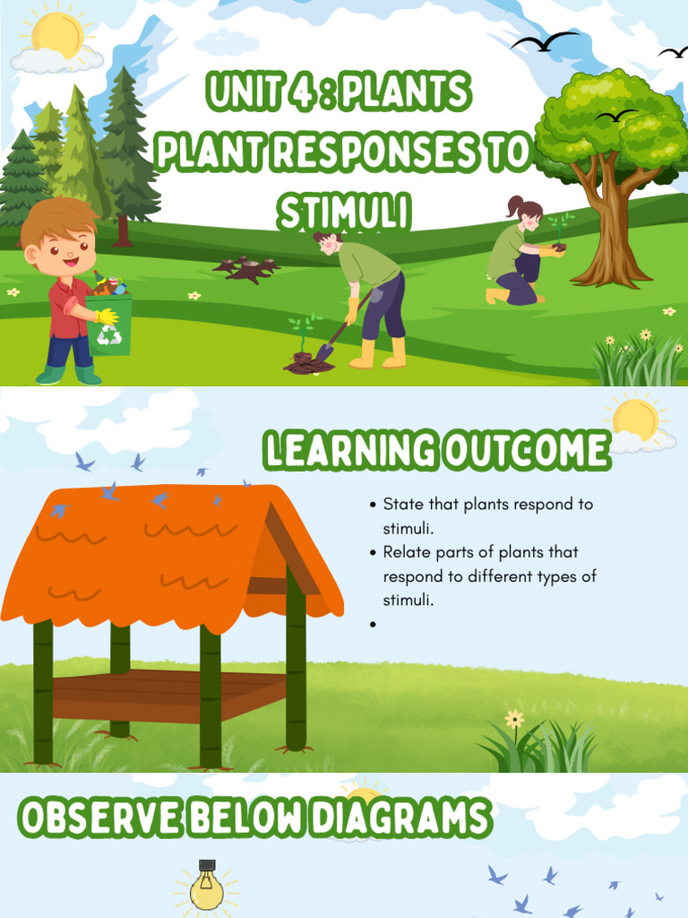 Plant Responses to Environmental Stimuli | PDF