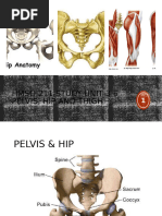 Rehabilitation Protocol For Hamstring Injury Non Operative | PDF | Hip ...