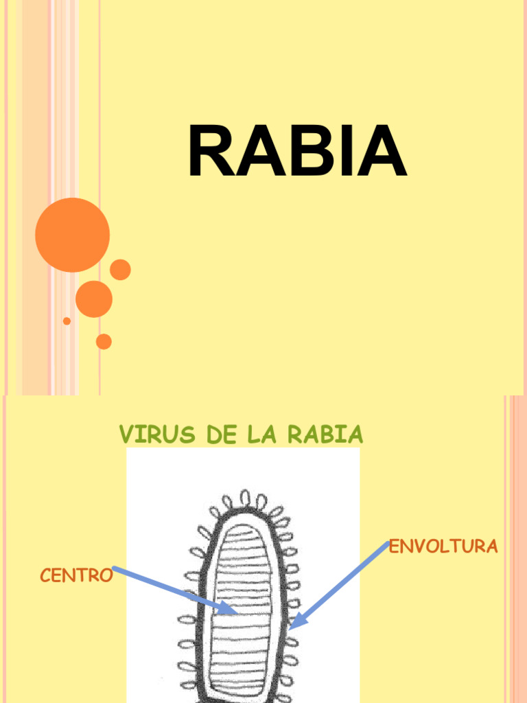 RABIA | PDF | Rabia | Virología