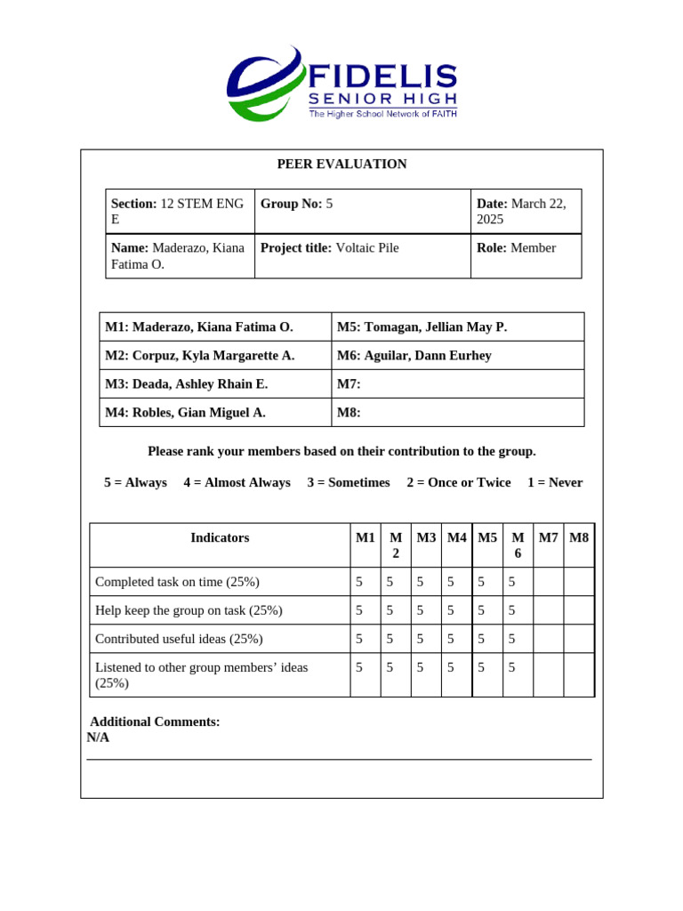 MADERAZO_GenPhy2_Voltaic Pile Peer Evaluation | PDF