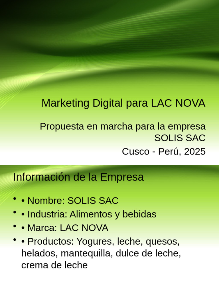 Marketing Digital LAC NOVA | PDF