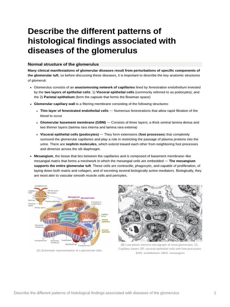 8 Describe - The - Different - Patterns - of - Histological - Findings ...