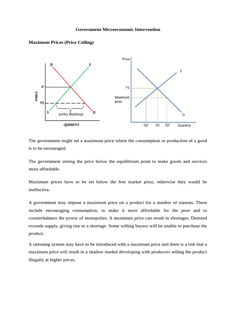 Government Microeconomic Intervention - 12 | PDF