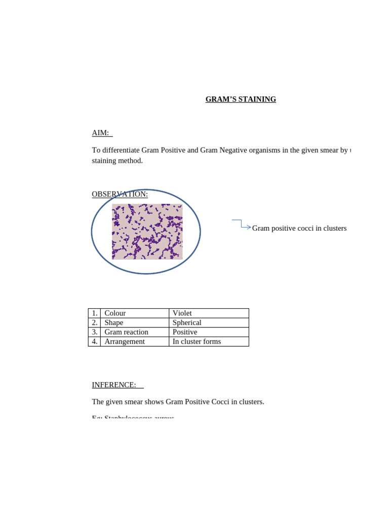 GRAM'S STAINING- FOR WRITING IN PRACTICAL EXAM (3) | PDF