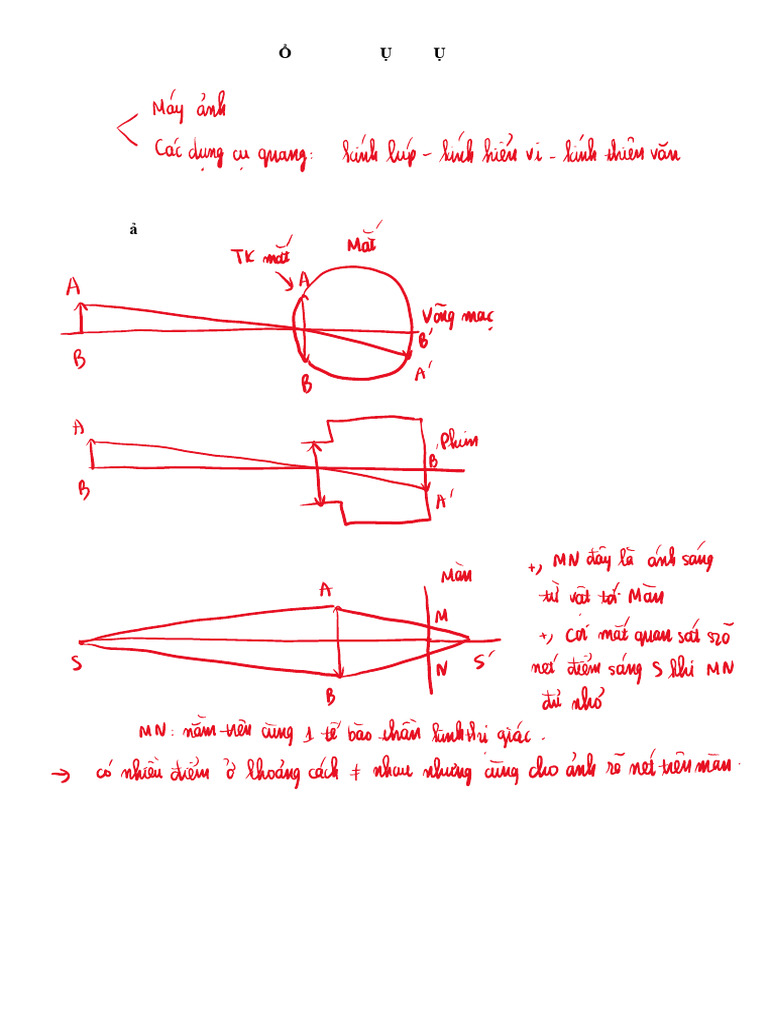 BU I 09. Các D NG C Quang | PDF