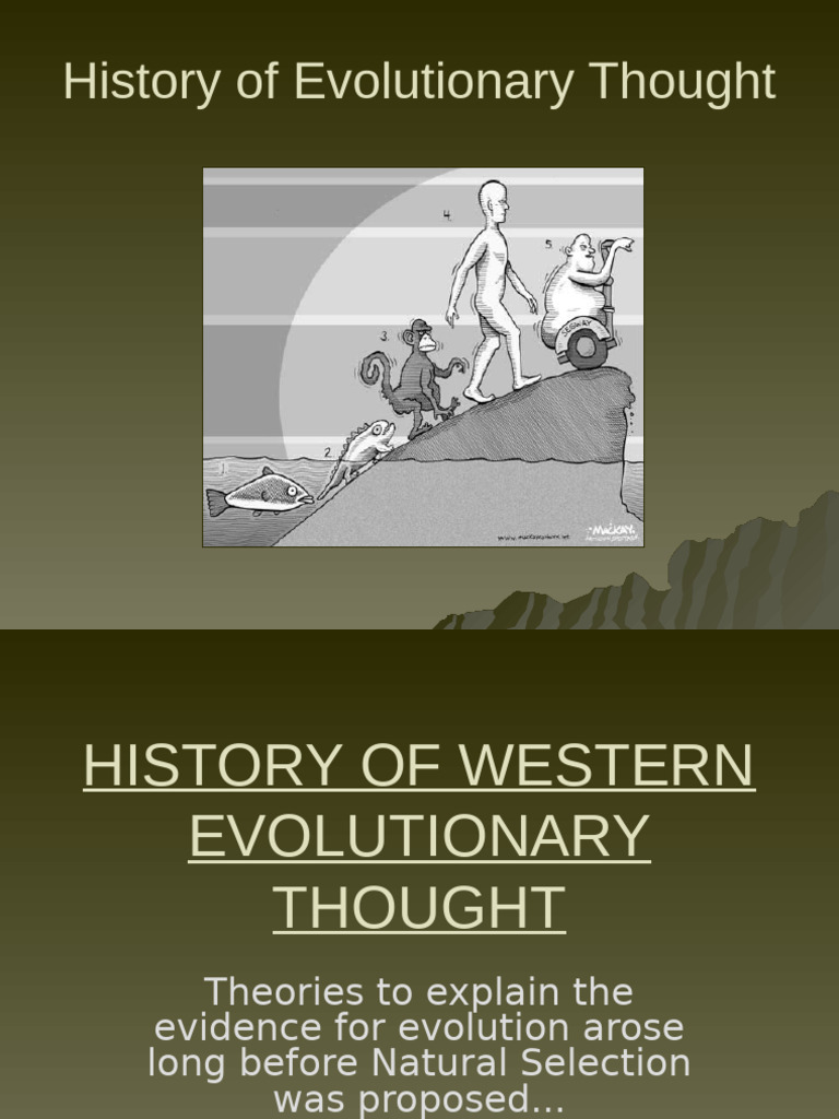 Evolution History A | PDF | Evolution | Nature