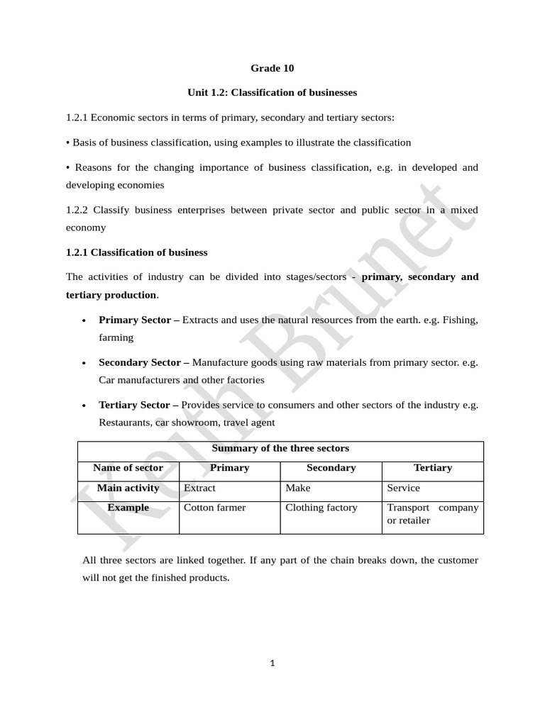 Business Classification and Economic Sectors | PDF | Privatization ...