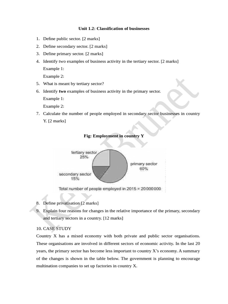 Business Sector Classification Explained | PDF