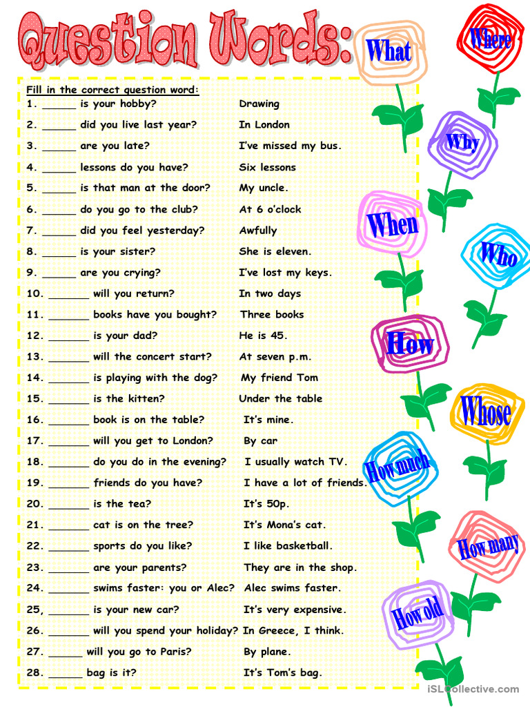 Question Words | PDF