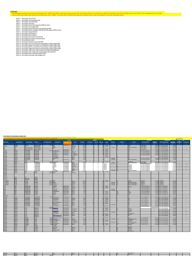Format Pendataan BPD 2025 | PDF