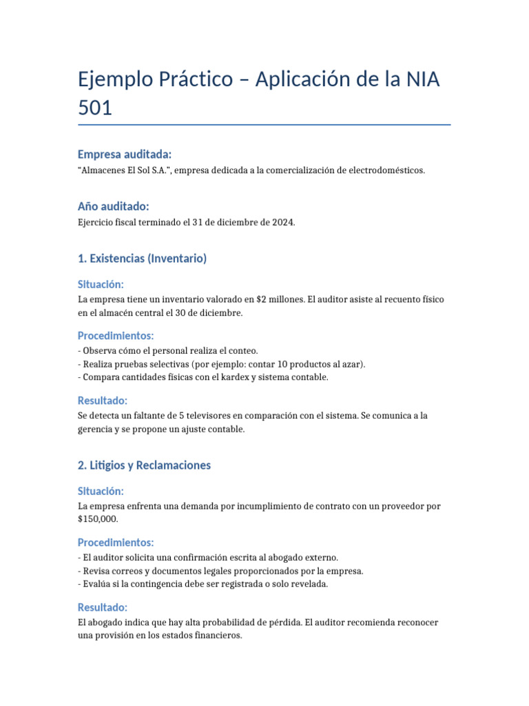 Ejemplo Practico NIA 501 | PDF