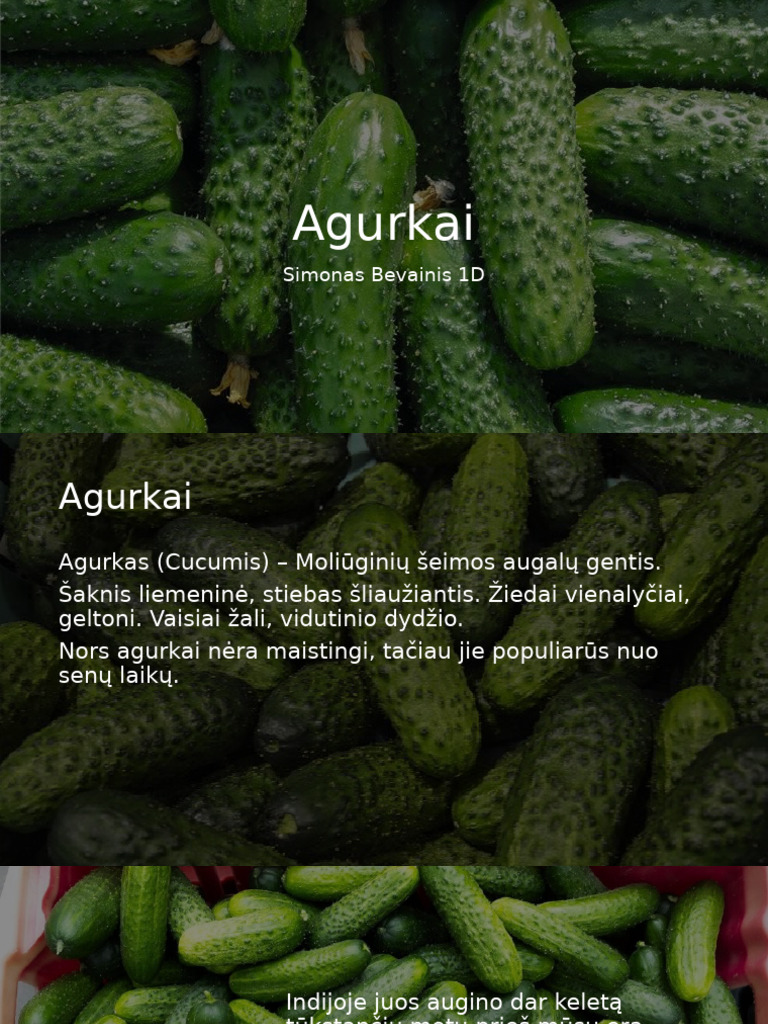Agurkai | PDF
