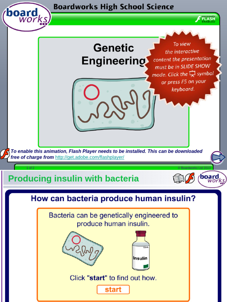 Genetic Engineering1 3 | PDF
