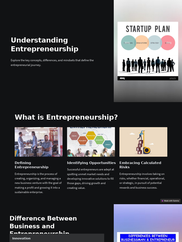 Understanding Entrepreneurship | PDF | Entrepreneurship | Mindset