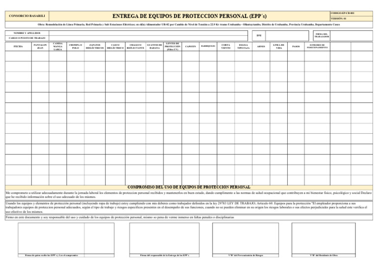 Formato Entrega Epps | PDF