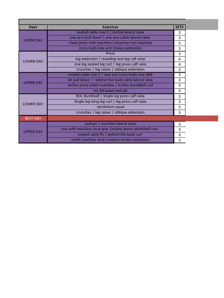 Training Plan Back Emphasis-1.0 | PDF | Human Anatomy | Musculoskeletal ...