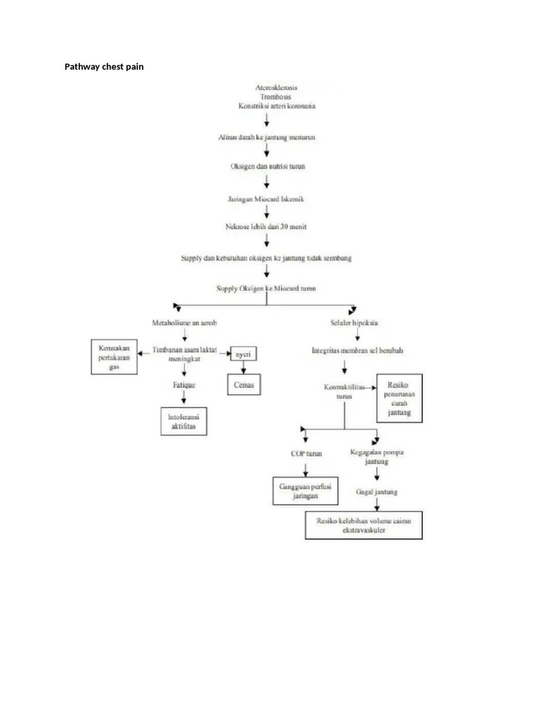 Pathway Chest Pain | PDF