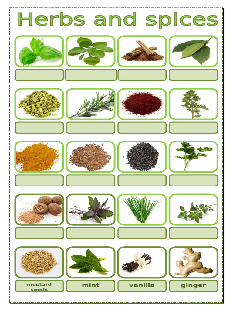 Herbs and Spices Picture | PDF