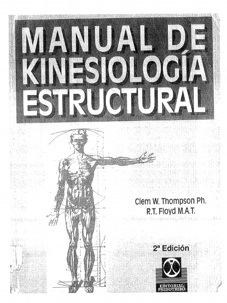 Manual de Kinesiologia Estructural Clem | PDF